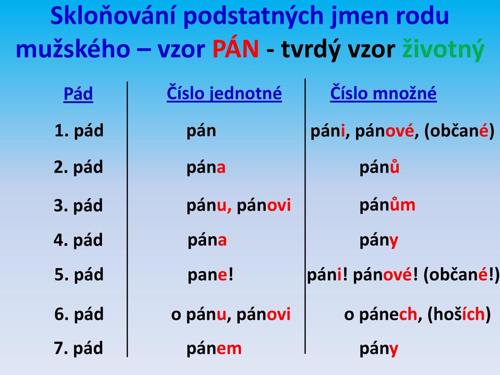 LEDEN 2022 :: Mgr. Kateřina Pultarová